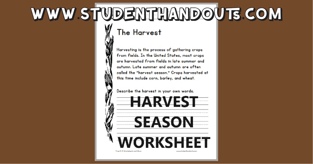 Harvest Season Primary Worksheet | Student Handouts