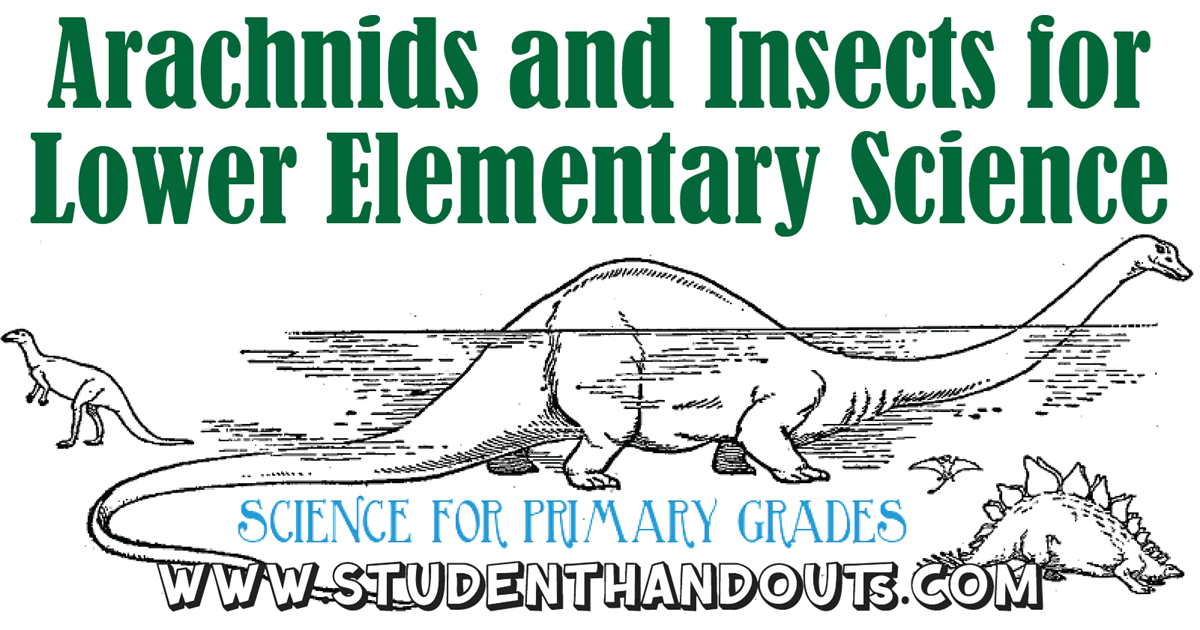 Arachnids and Insects for Lower Elementary Science | Student Handouts