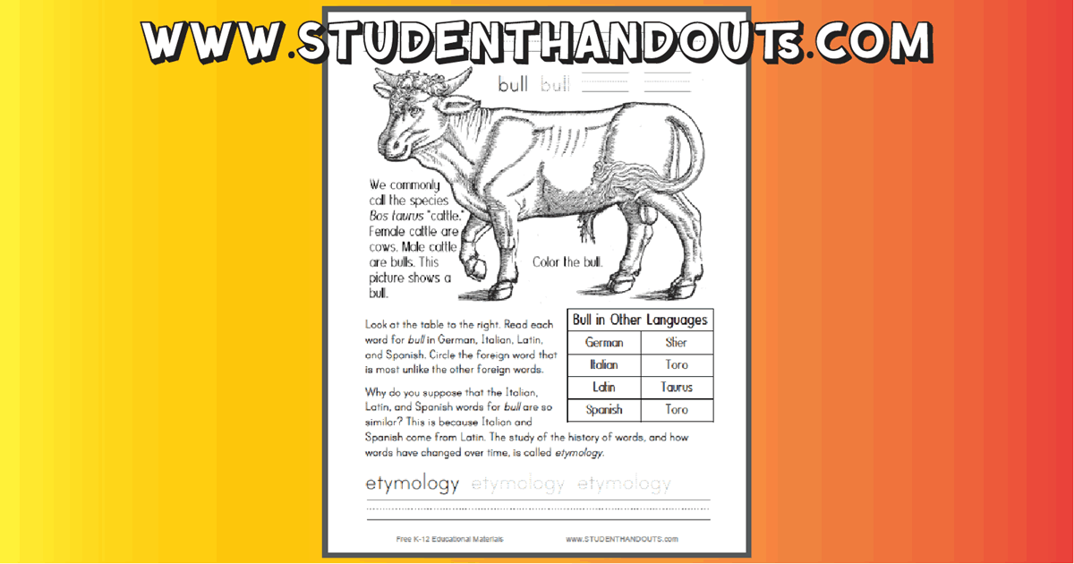 Bull Animal Worksheet for Primary Students | Student Handouts