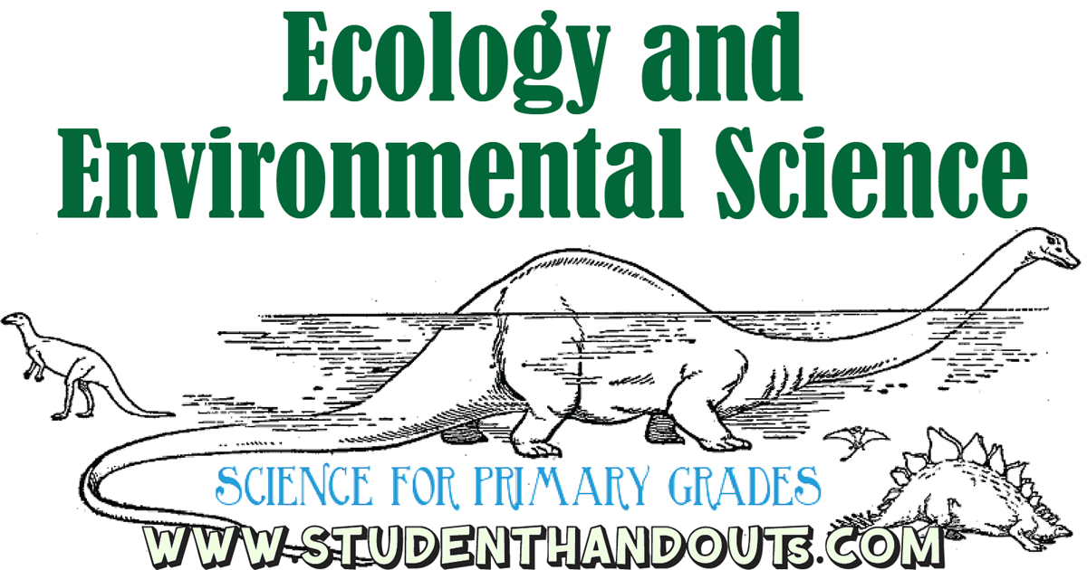 Ecology and Environmental Science for Primary Grades | Student Handouts
