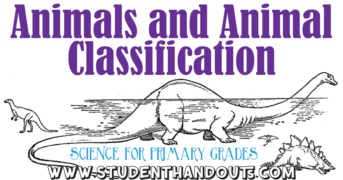 Animals and Classification—Lower Elementary Science | Student Handouts