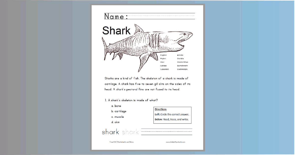 Shark Worksheet for Lower Elementary | Student Handouts