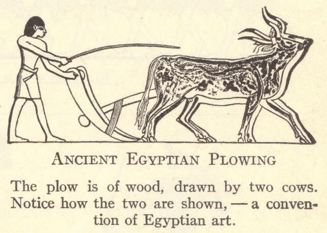 Ancient Egyptian Plowing | Student Handouts